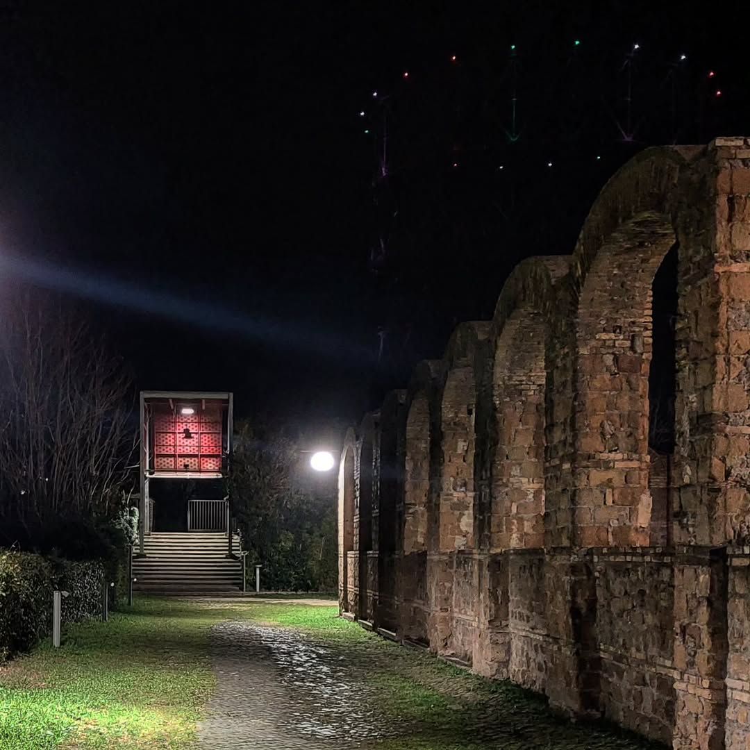 India – Topper Harley